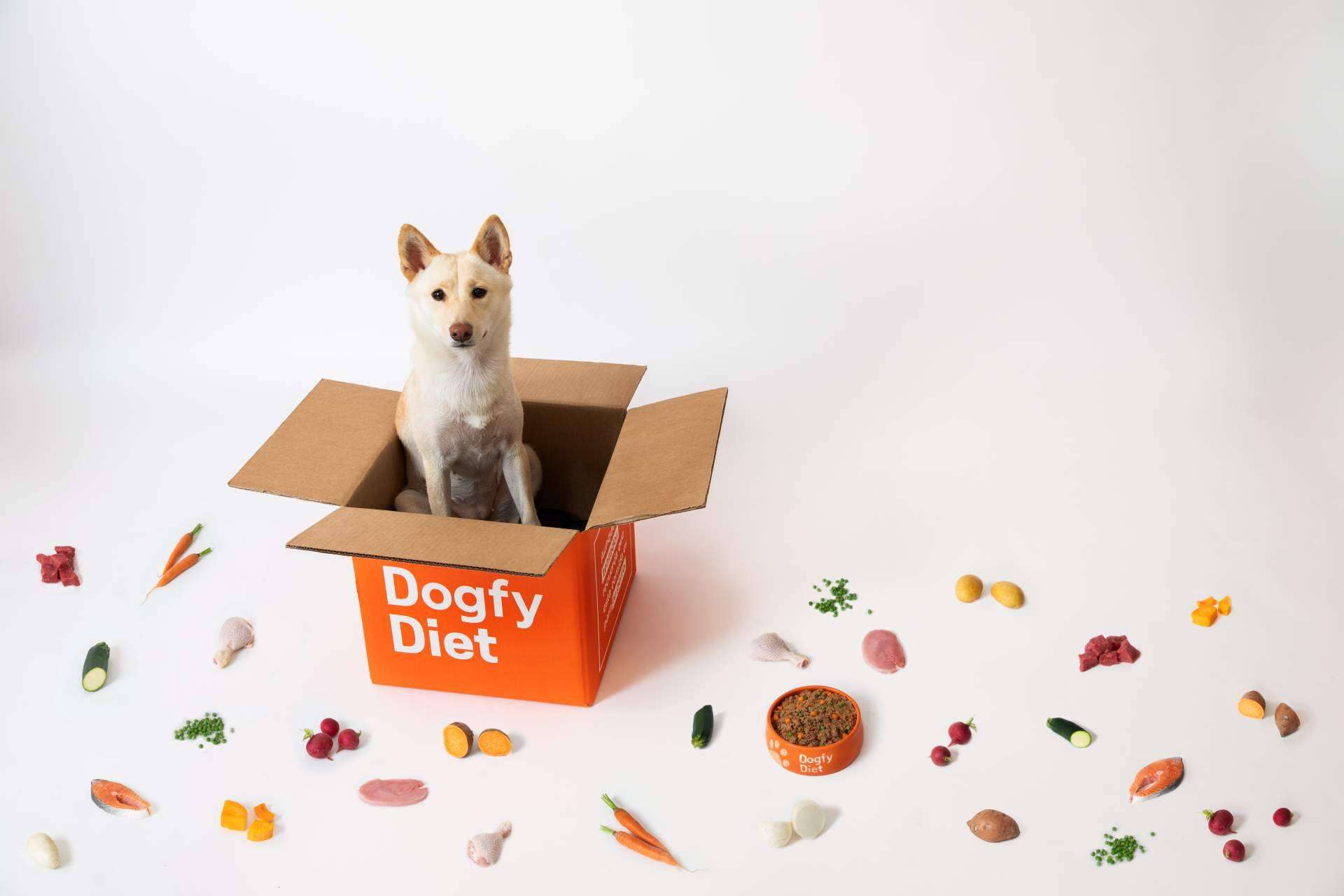 Dogfy Diet revoluciona la alimentación canina con comida natural ...